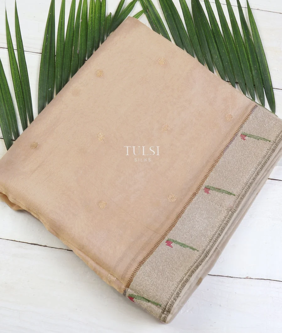 Buy Light Beige Kora Tissue Organza Embroidery Saree T619440